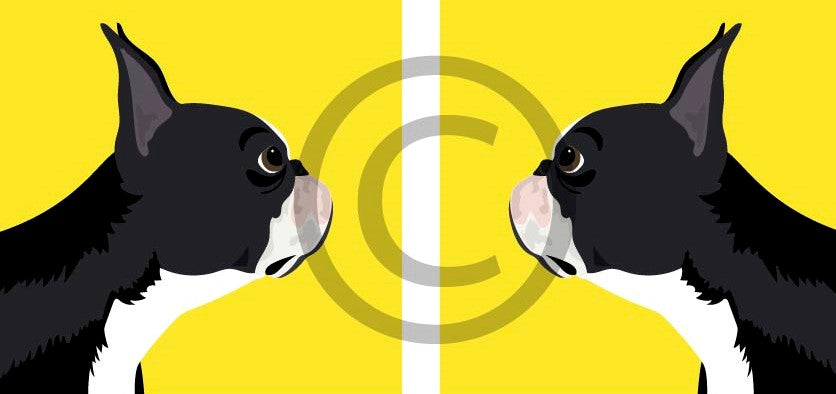 Boston Terrier – Cornishbirdinthesticks