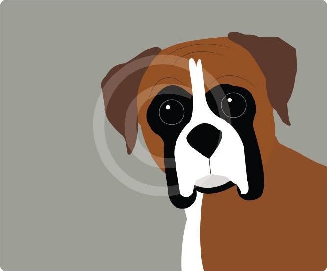 Boxer – Cornishbirdinthesticks