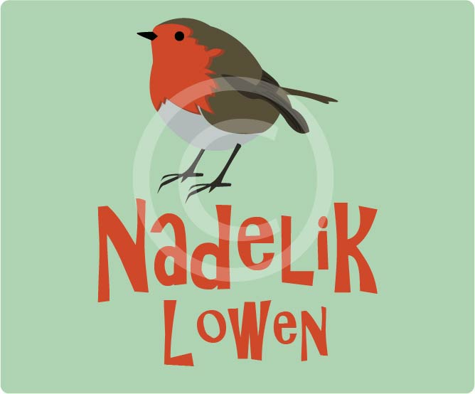 Nadelik Lowen Robin – Cornishbirdinthesticks