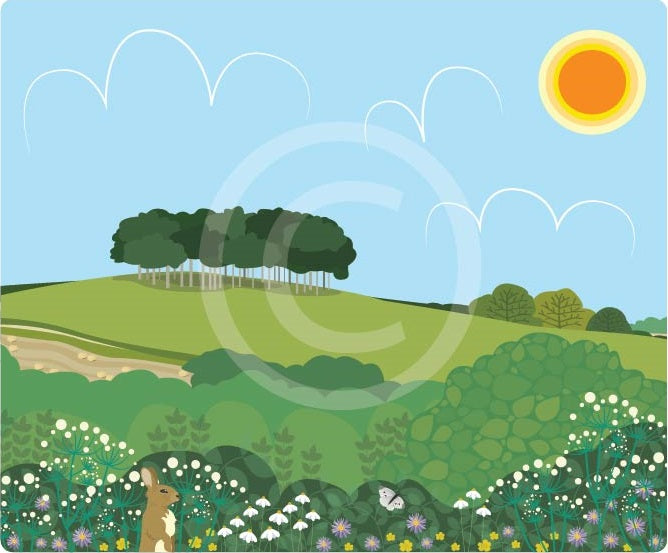 Nearly Home – Cornishbirdinthesticks